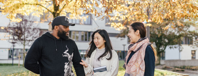 MBM Business Management (Business Administration) Master of Arts ...